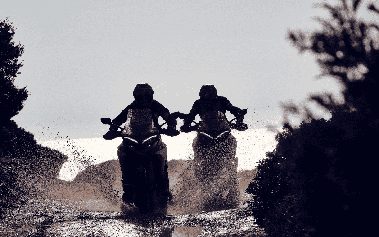 Multistrada - Ducati: Moto, MotoGP & Superbike